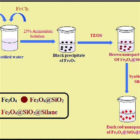 Schematic Diagram Of The Synthesis Of Fe 3 O 4 Sio 2 Silane