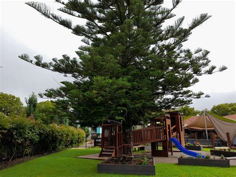 Learning Pathways Early Education Care And Kindergarten Toowoomba Qld