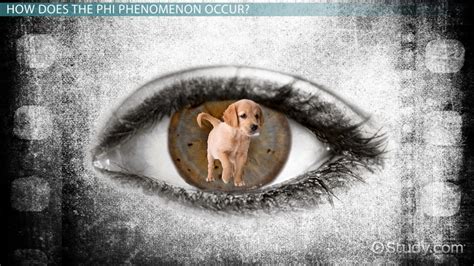 The Phi Phenomenon Definition And Example Video And Lesson Transcript