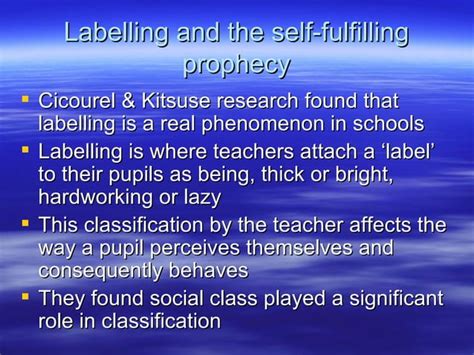 Interactionist Approach To Education Ppt