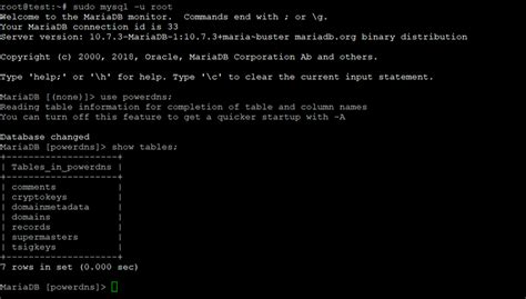 PowerDNS PowerDNS Admin Recursor On Debian10 11