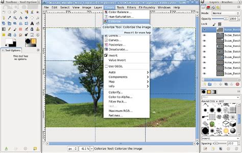 Nicu S How To Custom Grids With GIMP