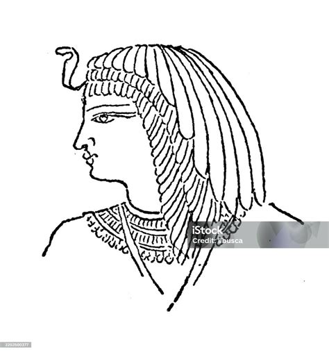 Uraeus Sakkara Egypt Stock Illustration Download Image Now 1890 1899 1898 19th Century