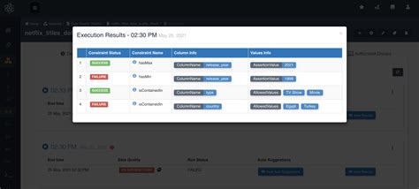 Data Quality Checks Beta Amorphic Docs