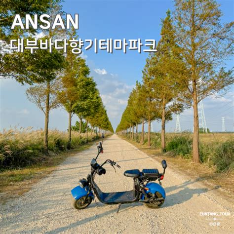 대부도 놀거리 바다향기테마파크 전동바이크 주차 네이버 블로그