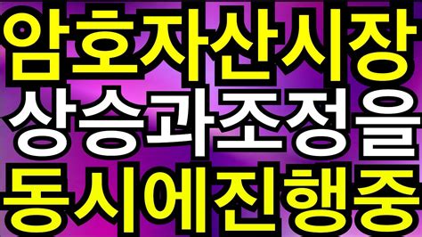 비트코인 암호화폐 시장은 상승과 조정 동시에 진행중이다 비트코인 리플 리플코인지캐시비트코인캐시이오스오미세고세계경제전망달러 Youtube