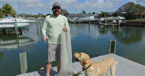 Whats The Best Cast Net For Whitebait In Shallow Water Whats The Best Cast Net For Whitebait In Shallow Water