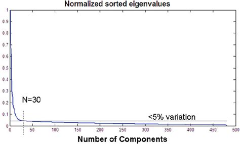 Figure 1 From Application Of Ica And Dynamic Mixture Model To Identify Microvasculature