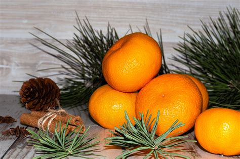 가문비 나무 가지와 귤 클로즈업 크리스마스 배경 밝은 아름다운 배경 크리스마스 새해 가족의 전통과 휴일 0명에 대한 스톡 사진