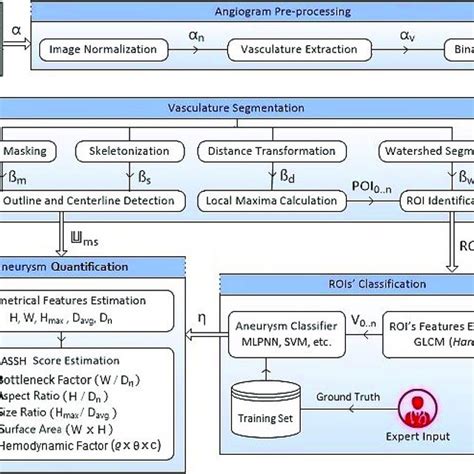 Architecture Of Proposed Framework Intracranial Saccular Aneurysm
