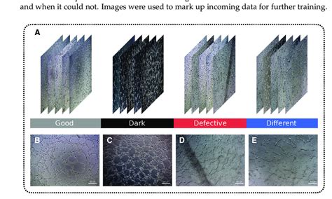 Original Dataset Consisting Of 4 Image Categories A Good Dark