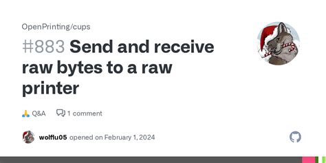 Send And Receive Raw Bytes To A Raw Printer · Openprinting Cups