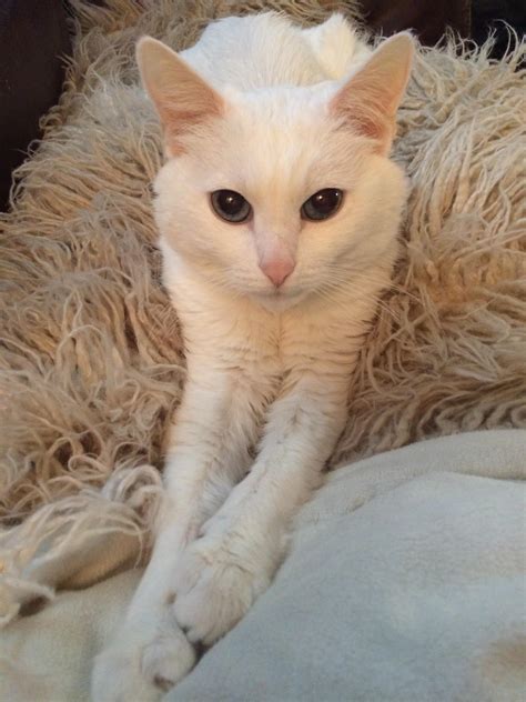 My 18 Year Old Audrey Cuties Overload