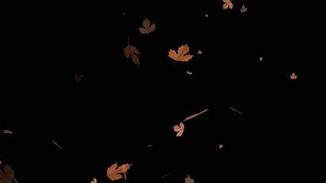 Falling Leaves Animation Stock Video Footage For Free Download