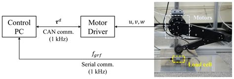 Artificial Neural Network Based Ground Reaction Force Estimation And