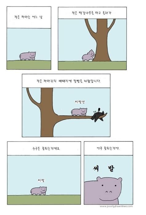 작은 하마 이야기 간략화 인스티즈instiz 인티포털 카테고리