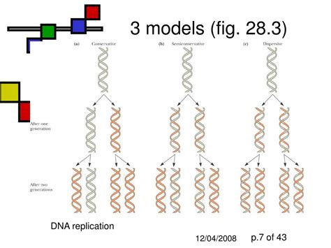 PPT DNA Replication PowerPoint Presentation Free Download ID 327428