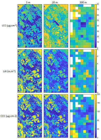 Remote Sensing Special Issue Leaf And Canopy Biochemical And Biophysical Variables Retrieval