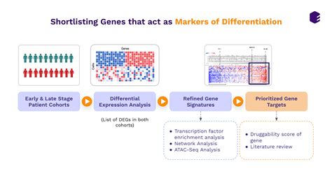 Overcoming Challenges In Multi Omics Patient Stratification