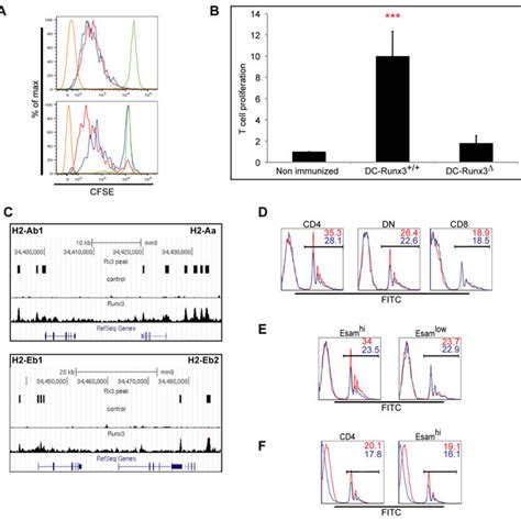 Loss Of Runx3 Abrogates Functional Activities Of Cd4 Dc A Cd4 T