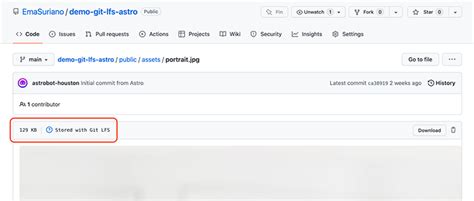 Efficiently Manage Large Files In Git With Git Lfs Logrocket Blog