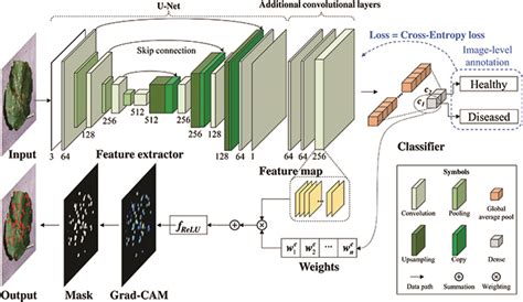 Phenotypic Analysis Of Diseased Plant Leaves Using Supervised And Weakly Supervised Deep