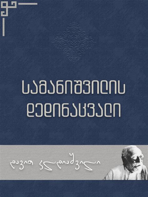 სამანიშვილის დედინაცვალი Pdf