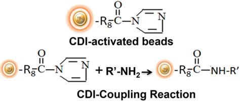 Cdi Activated Support For Immobilizing Affinity Ligands