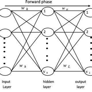 Feed Forward Neural Network Download Scientific Diagram