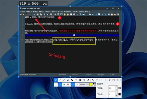 snipaste software officially authorized genuine software platform