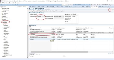 Sap Hana Content Security Roles Setup Sap Tips