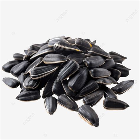 검은 해바라기 씨 해바라기 씨 구운 씨앗 간식 Png 일러스트 및 이미지 에 대한 무료 다운로드 Pngtree