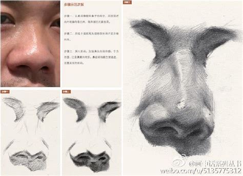 Учебник рисования Художественная анатомия Портретный рисунок Рисование