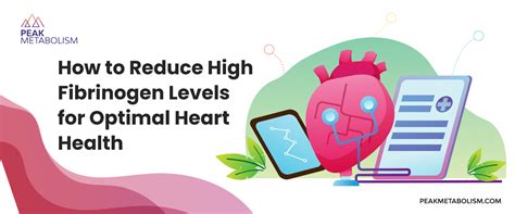 Reducing High Fibrinogen Levels Your Key To Lower Heart Attack Risk