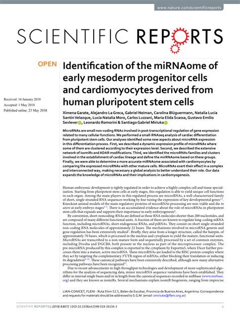 Pdf Identification Of The Mirnaome Of Early Mesoderm Progenitor Cells