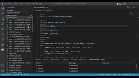 Sreenivas Angara On Linkedin Snowflake Extension For Visual Studio Code