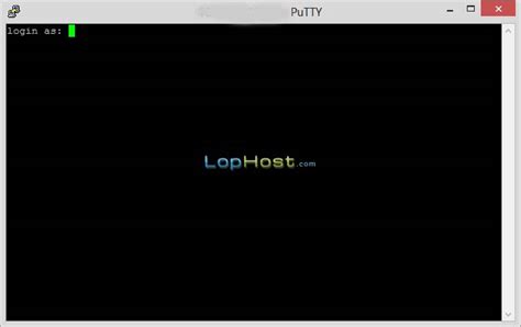 How To Generate And Use Ssh Key On A Cpanel Server Lophost