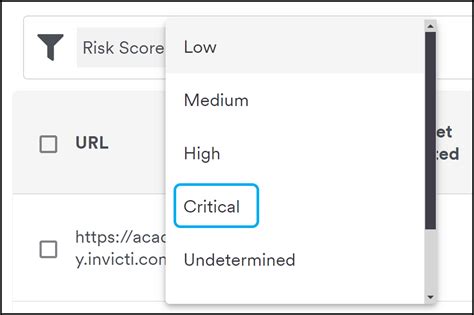 Utilizing Predictive Risk Scoring Acunetix