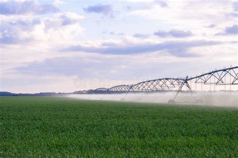 Sistema Di Irrigazione Automatizzato Immagine Stock Immagine Di Sviluppo Raccolta