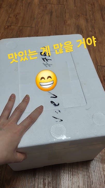 소고기 포장 풀기 Youtube