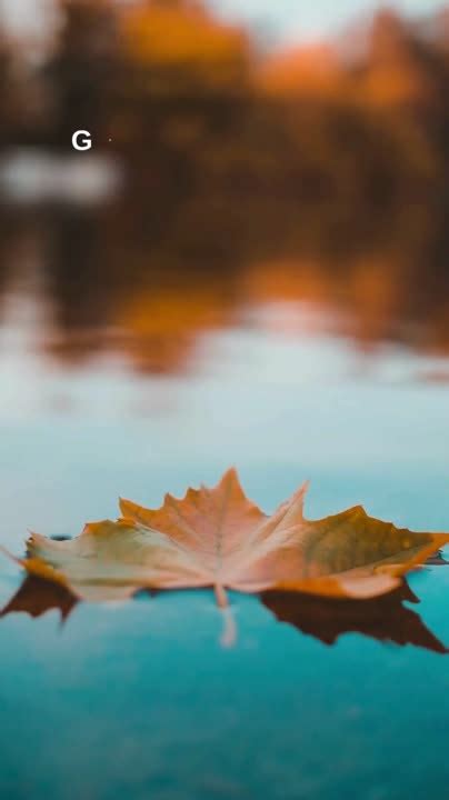 Divya Srivastava Posted On Linkedin