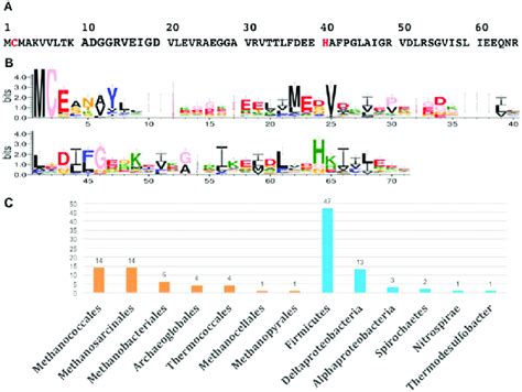 A Sequence Of Coot Highlighting Cys2 And His41 The Residues Capable A Sequence Of Coot Highlighting Cys2 And His41 The Residues Capable