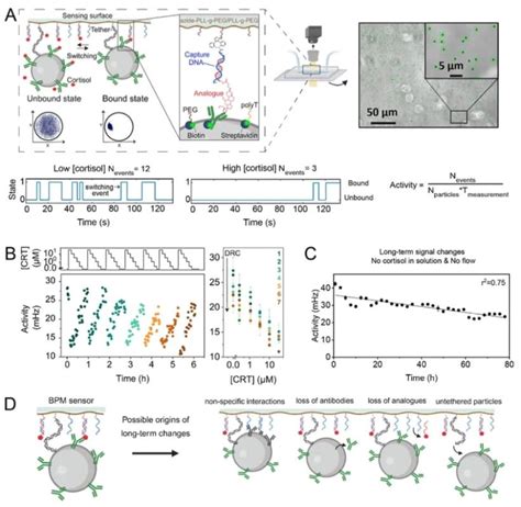 Advanced Microfluidics Sa On Linkedin Continuous Biosensing Exploring
