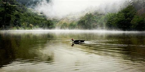 تور سوادکوه نوروز جوارم تا شورمست