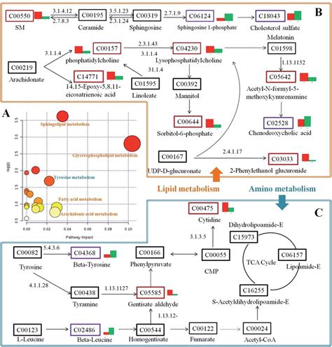 Reconstructed Pathways Associated With The Biomarkers That Are