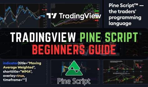 Tradingview Pine Script The All In One Guide For Beginners Forexcracked
