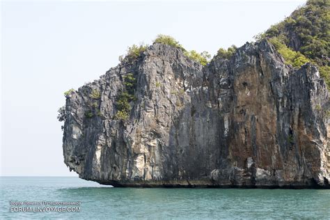 배경 화면 스포츠 만 록 물고기 연안 낭떠러지 여름 비키니 곶 말레이시아 태국 어업 형성 항해 뗏목 랑카위 참치 지역 집 밖의