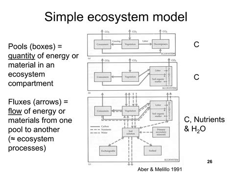 Ecosystem Ecologyoverview Of People And Events Important In The