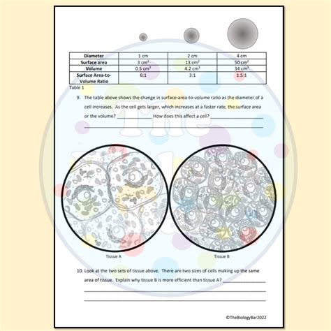 Cell Size Ratio Worksheet Made By Teachers