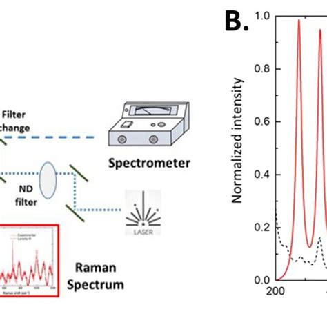 Schematic Representation Of The Experimental Procedure For Collecting